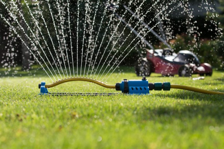 Het gazon sproeien, wanneer doe je dit? - Mooigrasveld.nl